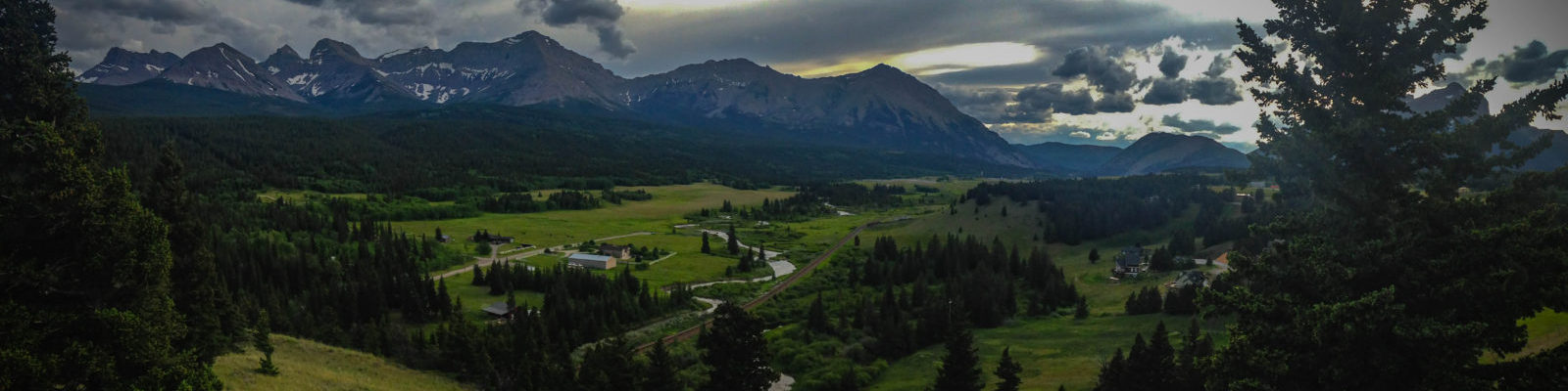 Whirling Disease in Alberta | The Bushwhackers Society