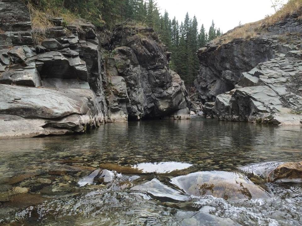 Reflections from the 2017 Fly Fishing Season | The Bushwhackers Society