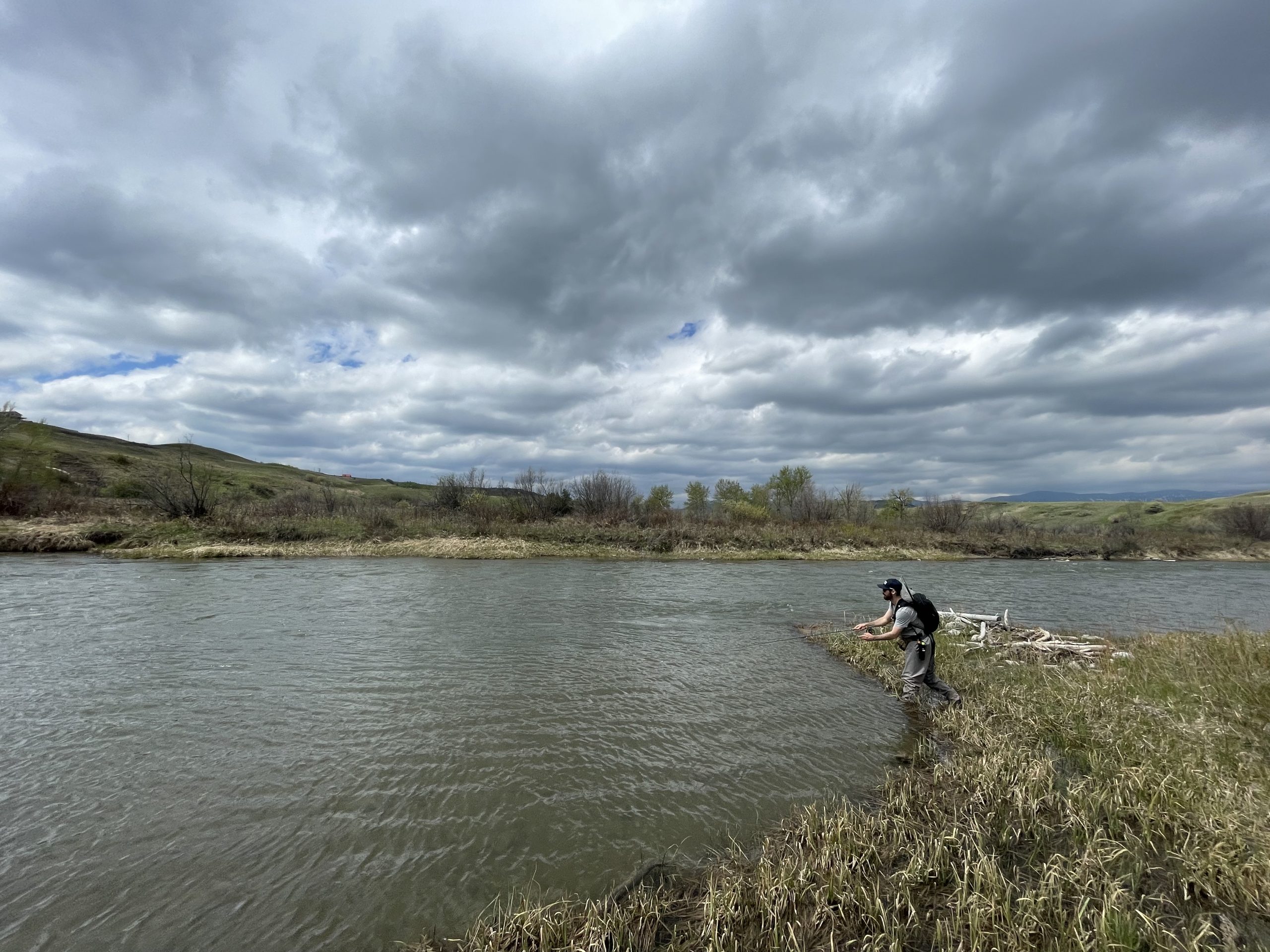 State of Alberta’s Trout: Cutthroat Trout Pt. III | The Bushwhackers ...